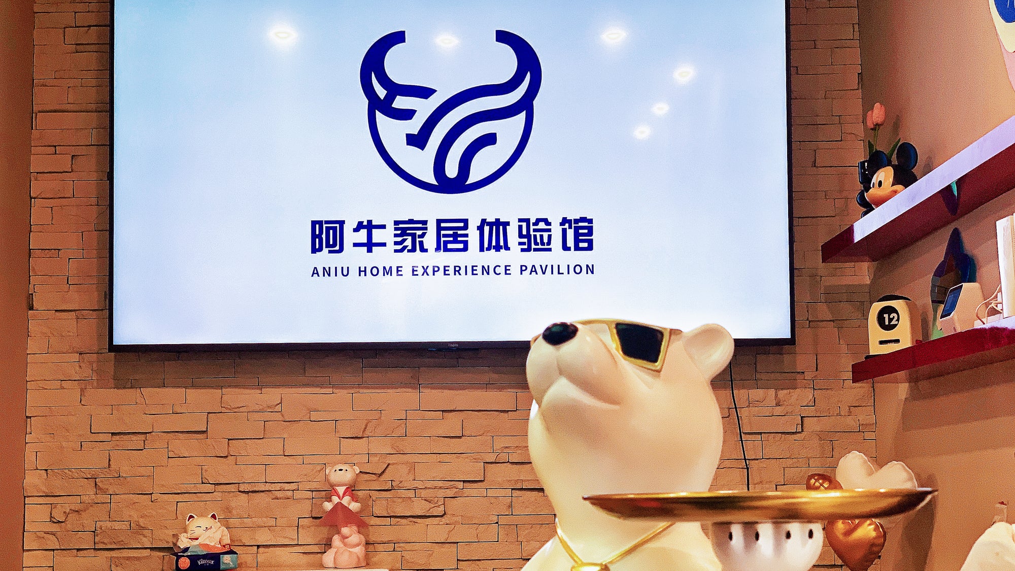 ANIU HOME EXPERIENCE